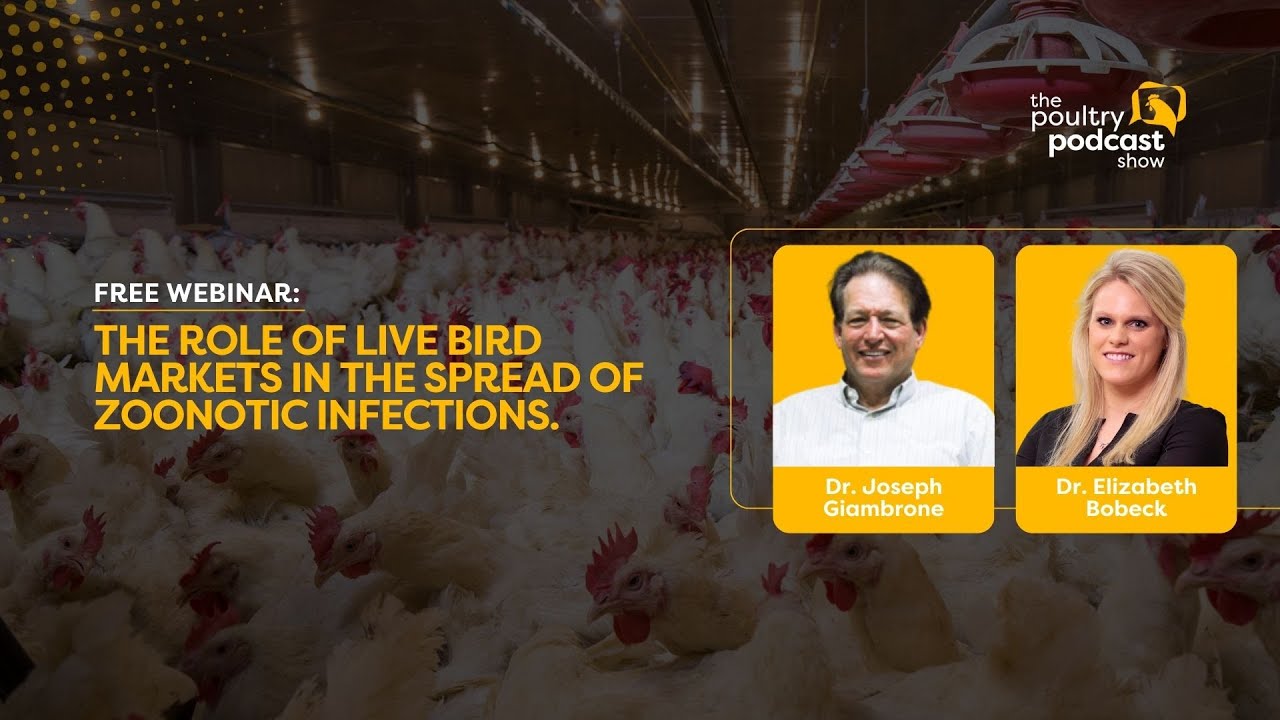 Webinar - The role of live bird markets in the spread of zoonotic ...