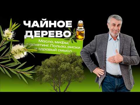 Чайное дерево: масло, мифы, маркетинг. Польза, риски и здравый смысл.