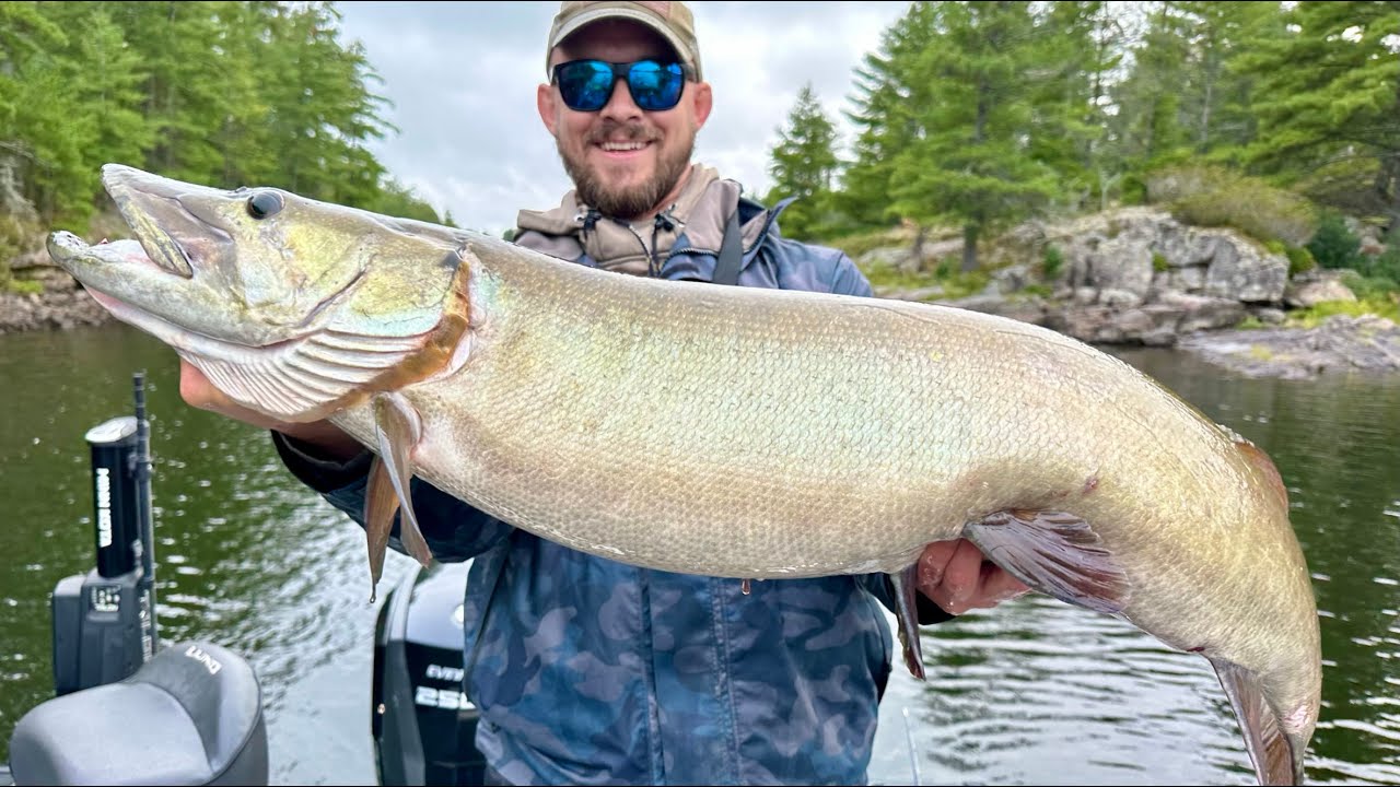 This Huge River Has The BIGGEST FISH I've Ever Seen!! - YouTube