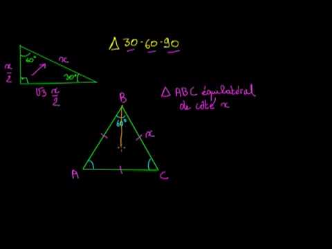 Les rapports des longueurs dans un demi-triangle équilatéral ...