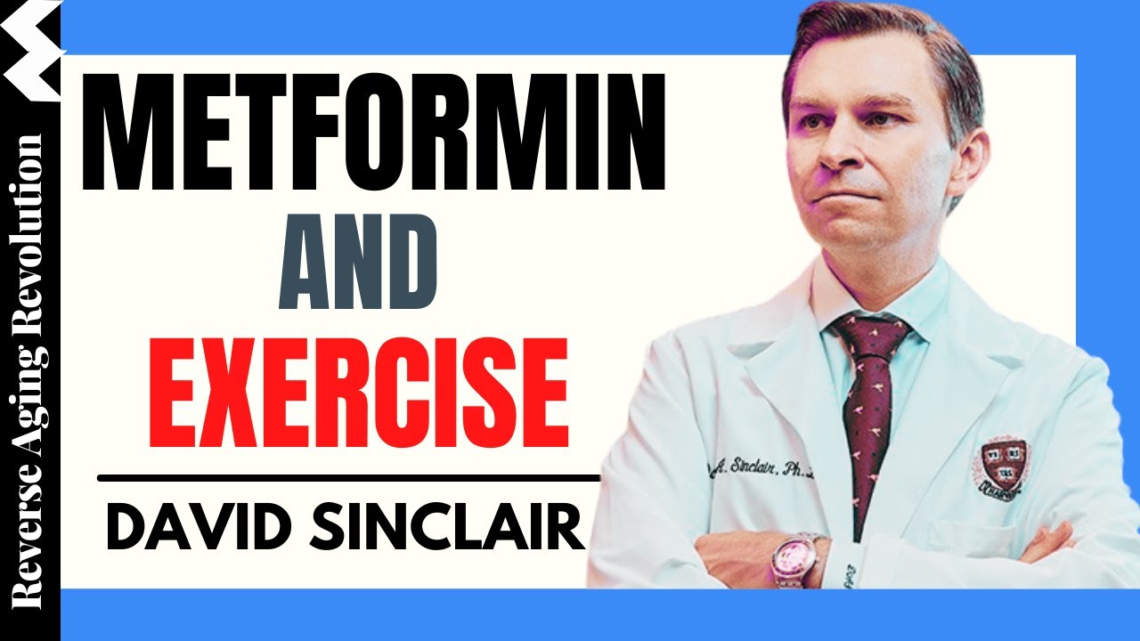 DAVID SINCLAIR “Metformin & Exercise” | Dr David Sinclair Interview ...