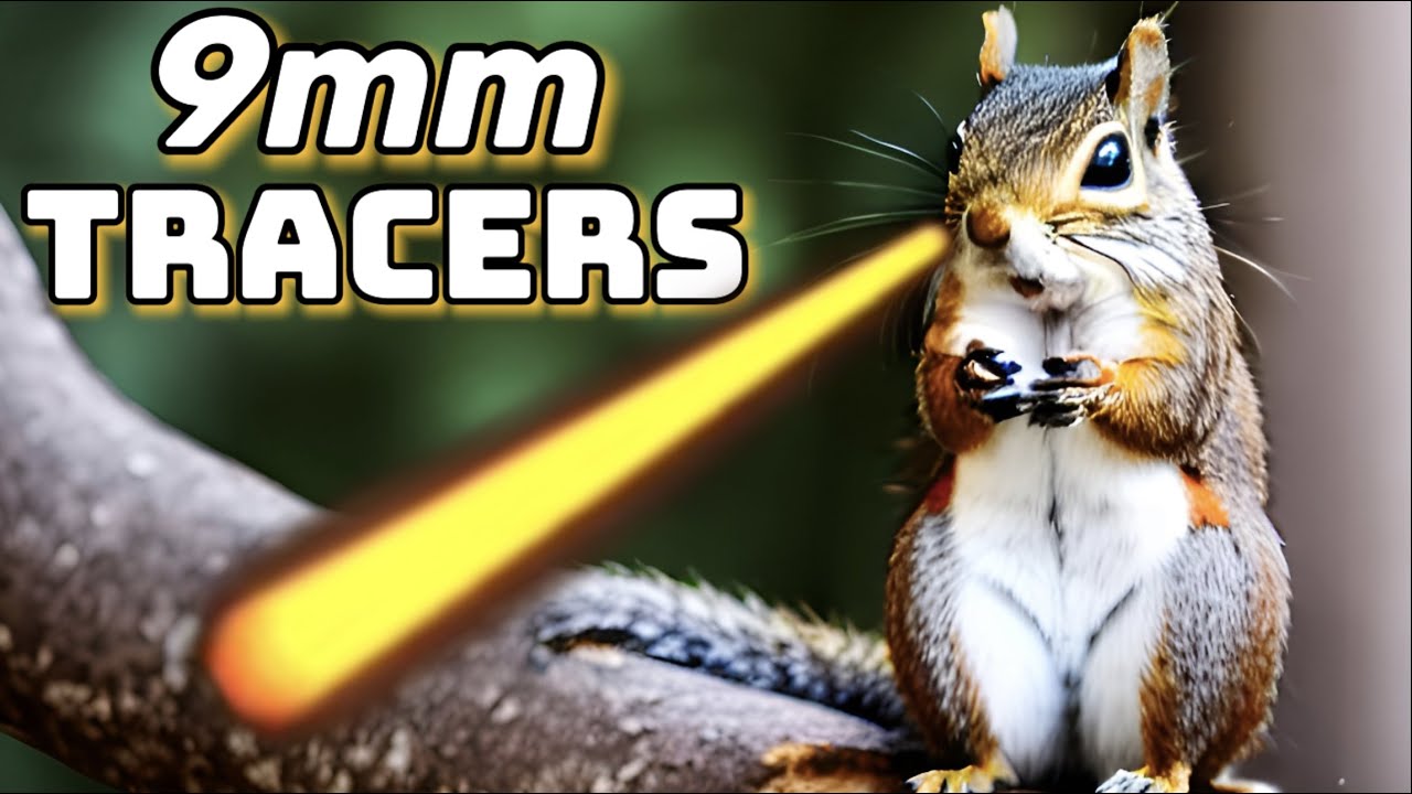 Funny Squirrels With Guns
