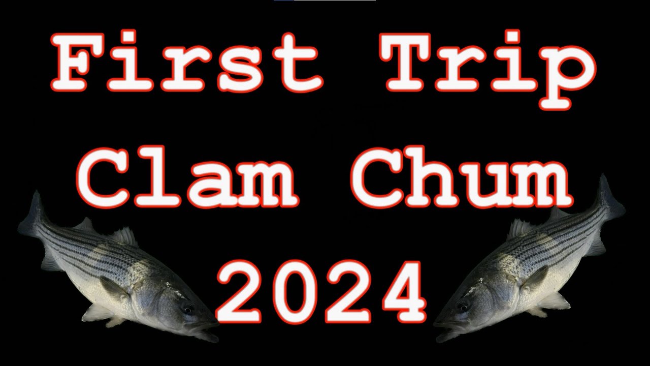 Striped Bass Clam Chum Fishing - Long Island , NY 2024 - YouTube