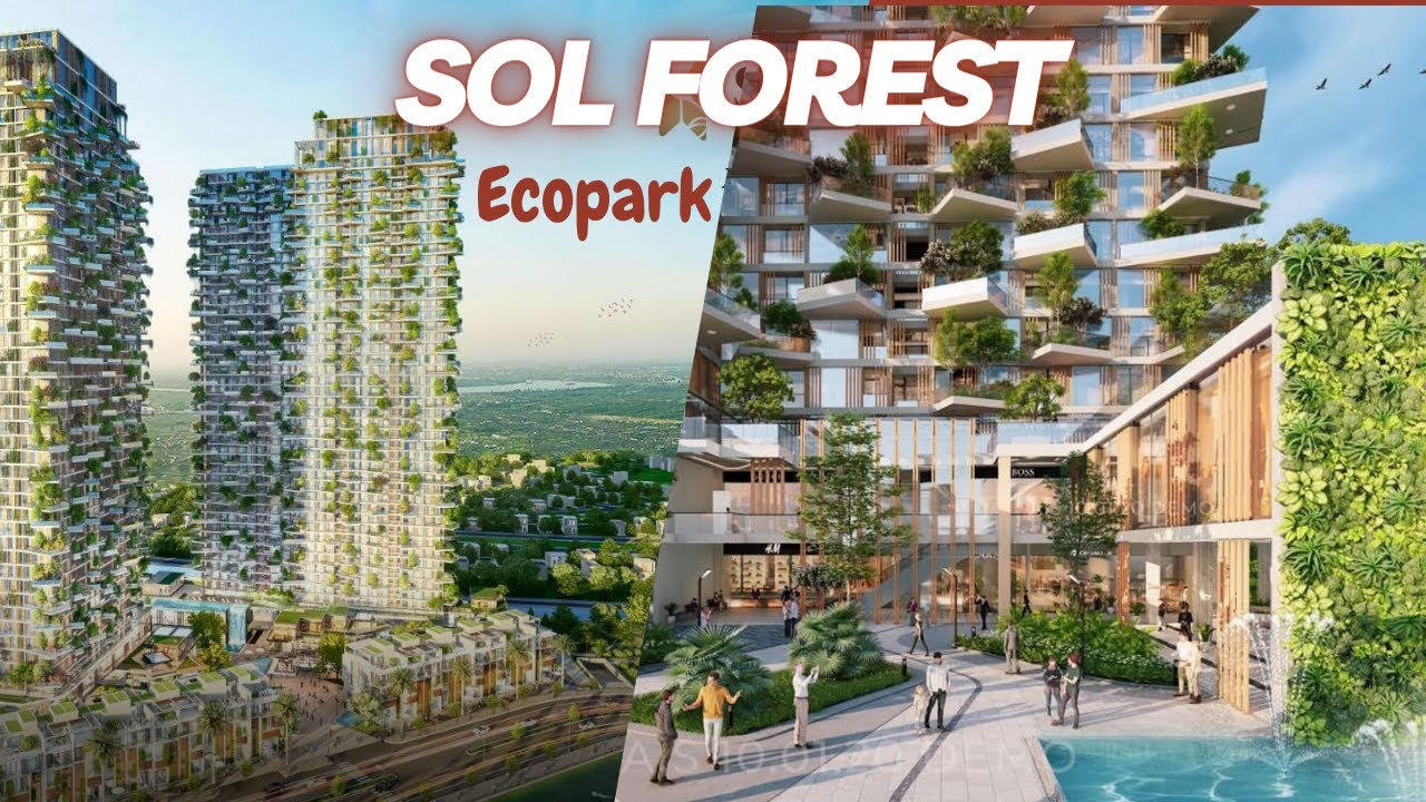 Căn Hộ Sol Forest 3 Phòng Ngủ ECOPARK có gì? | Ecopark - YouTube