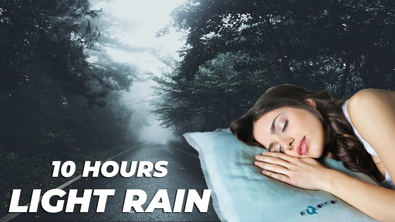 Light Summer Rain in the Forest | Relaxing & Calming Rain Sounds - YouTube