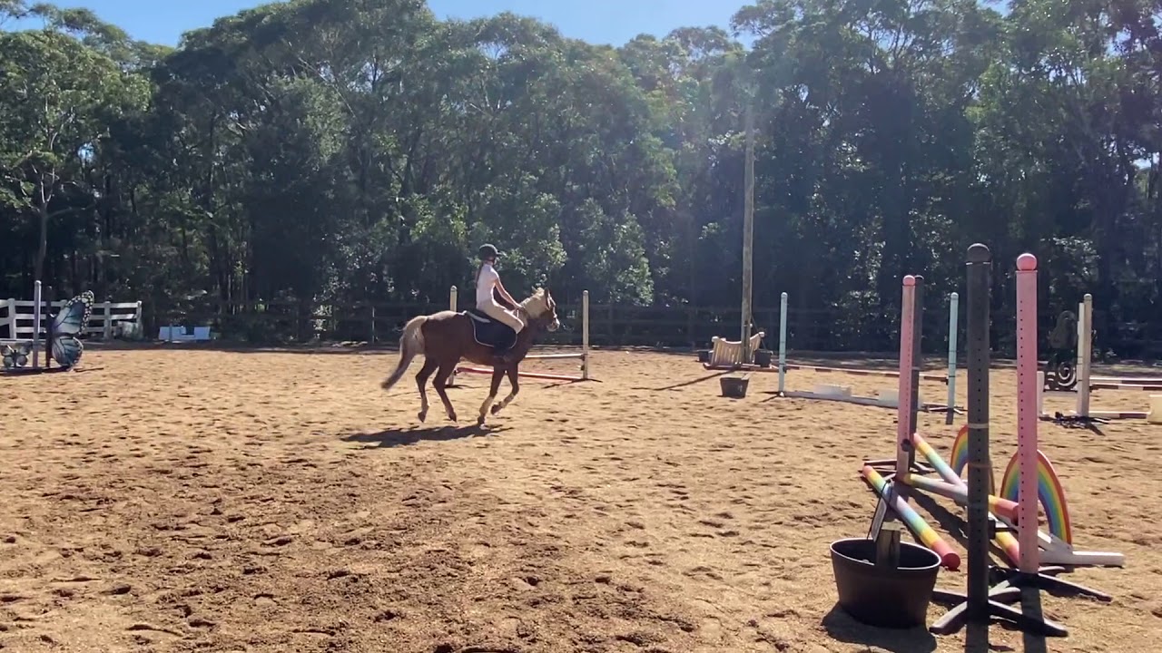 Kate Slade on Junior Equitation competition - 65 cm - YouTube