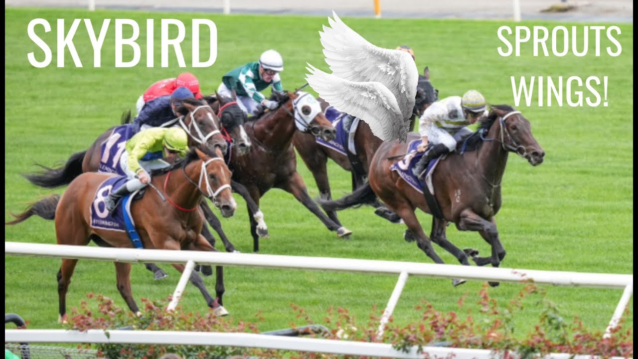 SKYBIRD SPROUTS WINGS! Black Caviar Lightning Day Review (15/2/25 ...