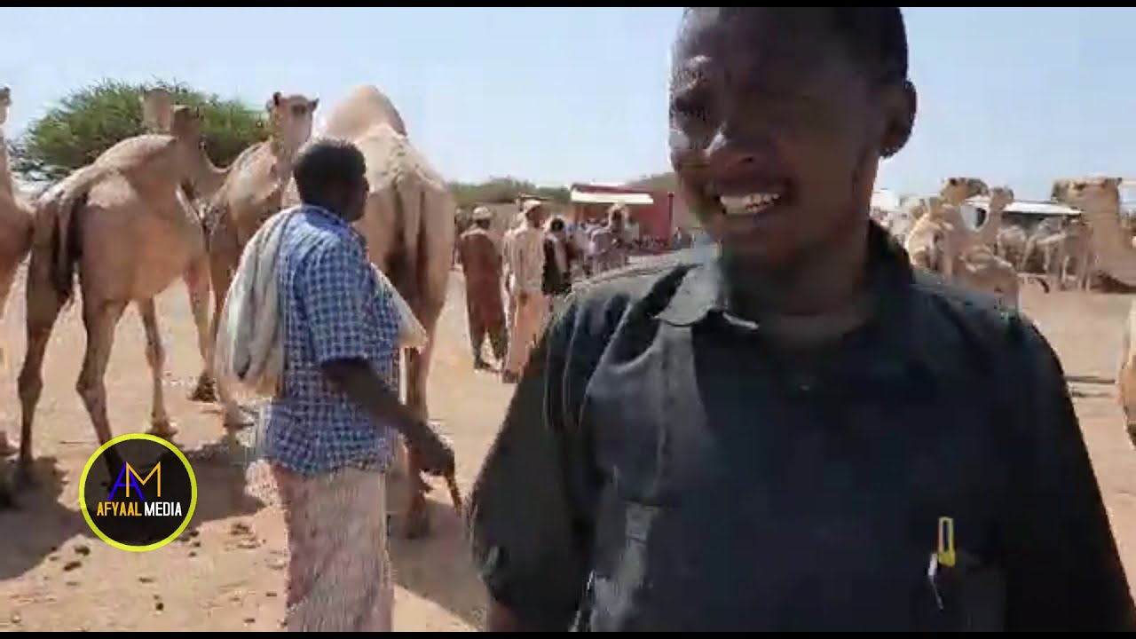 GEERAAR LAGU AMAANEY LOODA IYO GAALA` DA RAXAWEEN IYO ABWAAN MAD JINAAY ...