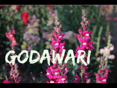 Godawari Botanical Garden | Places to visit in Lalitpur - YouTube
