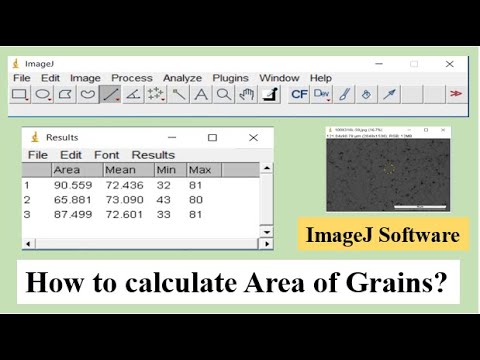 How to calculate Grain Area using ImageJ Software? || Grains area by Microscopic images - YouTube
