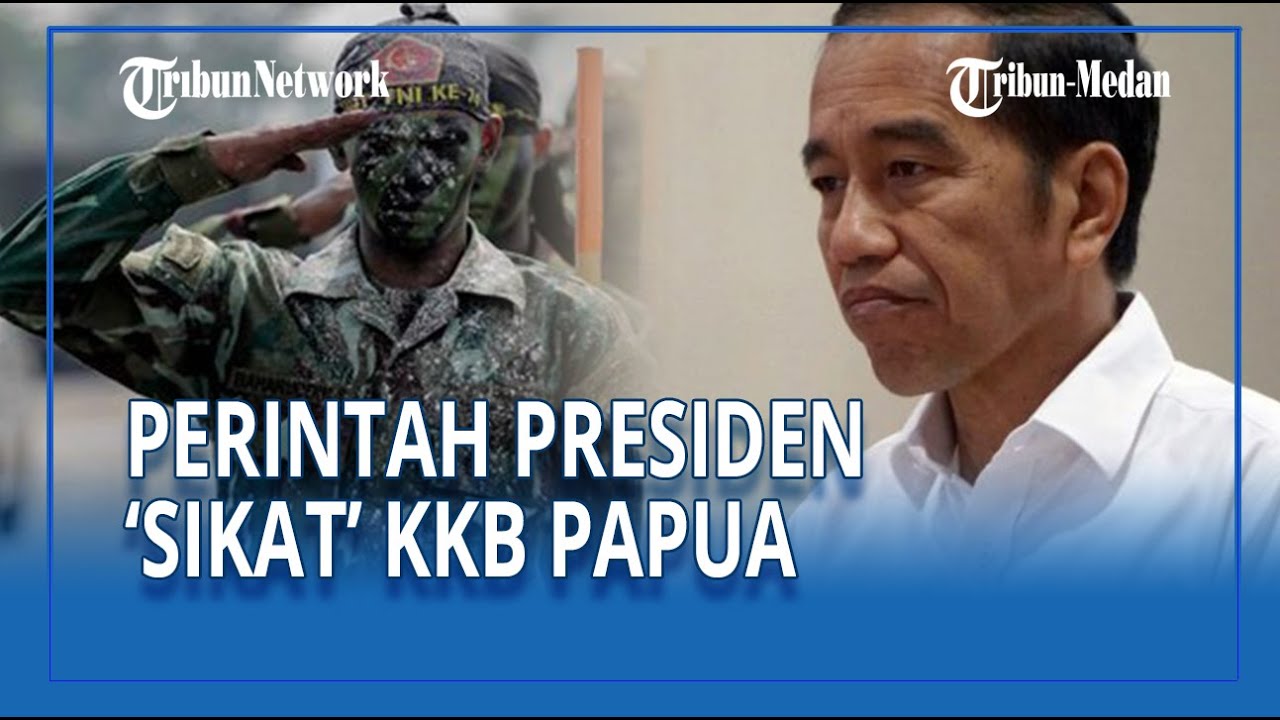 OPERASI MILITER Besar-besaran di Papua, Perintah Presiden Sudah Jelas ...