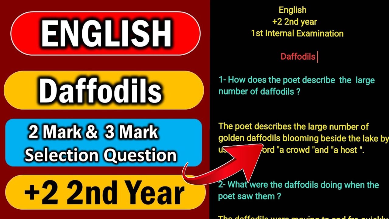 2 English Daffodils Important Question Answer 2 1st Internal Exam 2-english-daffodils-important-question-answer-2-1st-internal-exam