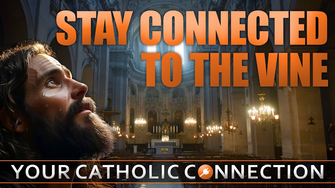 Stay Connected To The Vine | Your Catholic Connection - YouTube