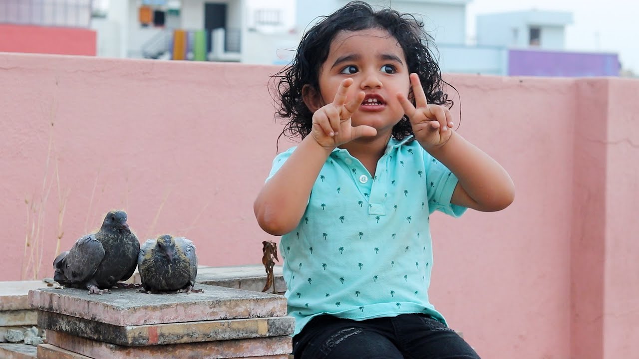 cute baby video | Cute moments | Chinnu with Baby Pigeon's #viral # ...