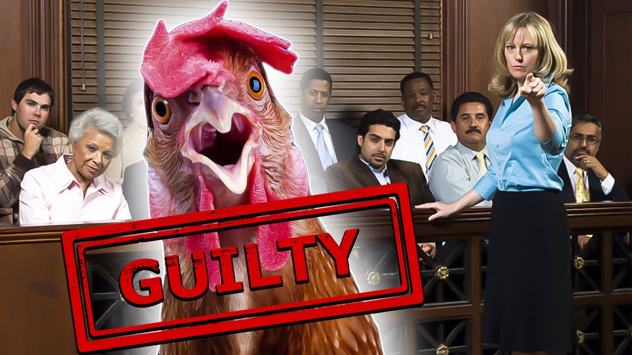 How This Rooster Went to Court and Why Roosters Crow Every Morning ...