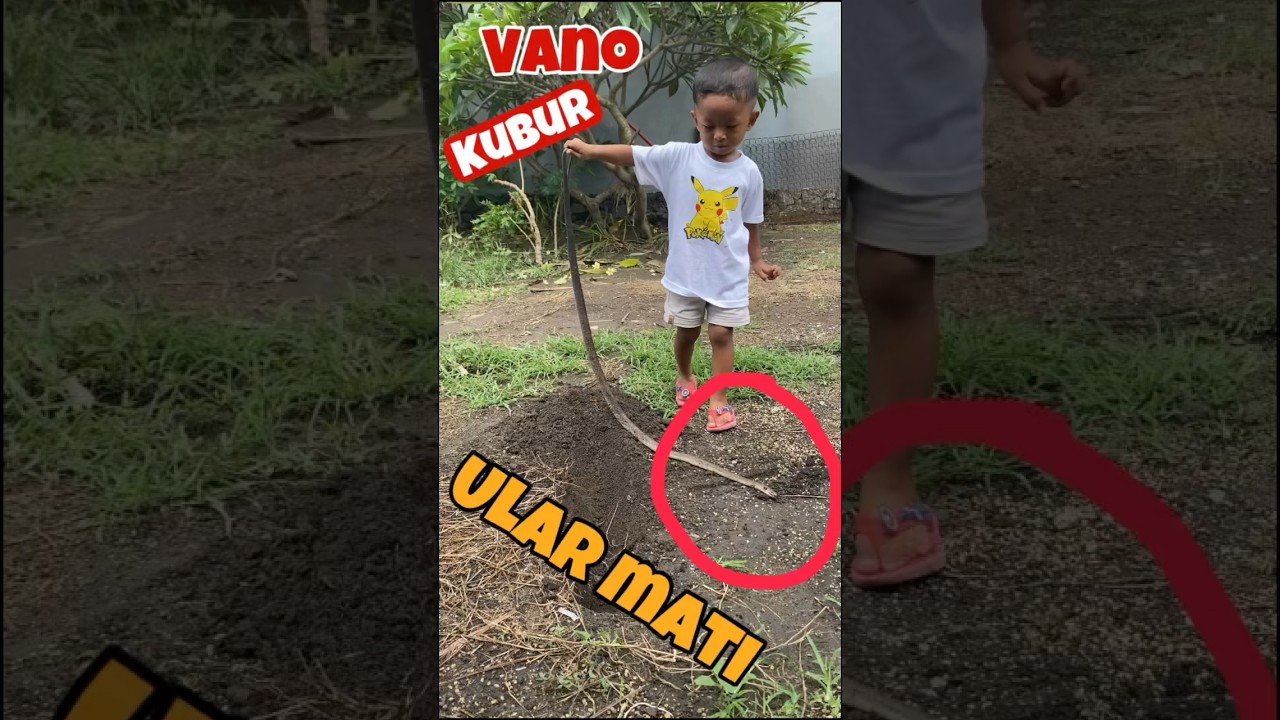 😱 Vano Kubur Ular ‼️🐍 #oyen #ularmati - YouTube