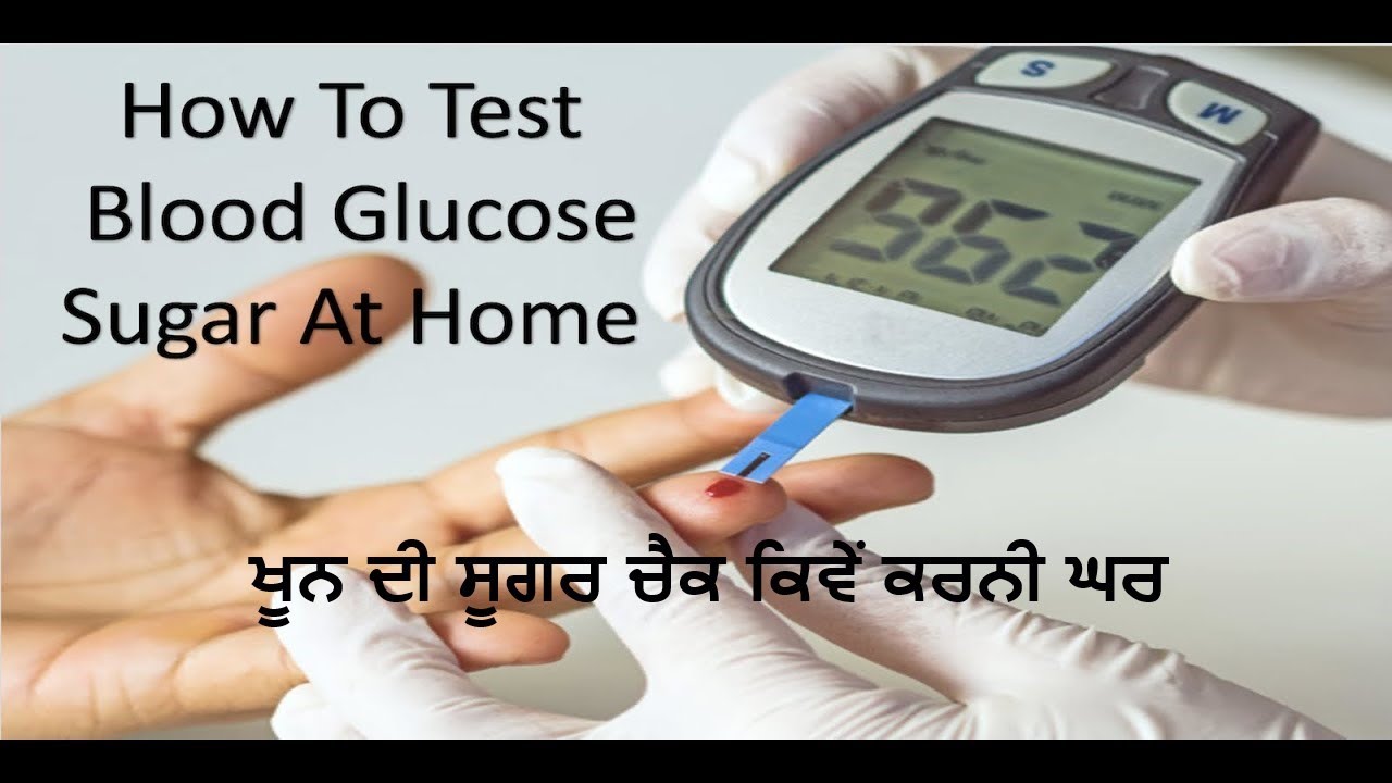 How To Test Blood Glucose At Home FreeStyle Lite I - YouTube