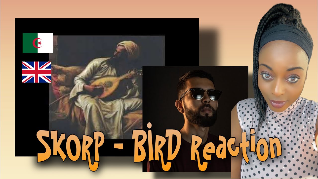 SKORP - BİRD (music video) by Awa beat Reaction 🇩🇿🔥 - YouTube