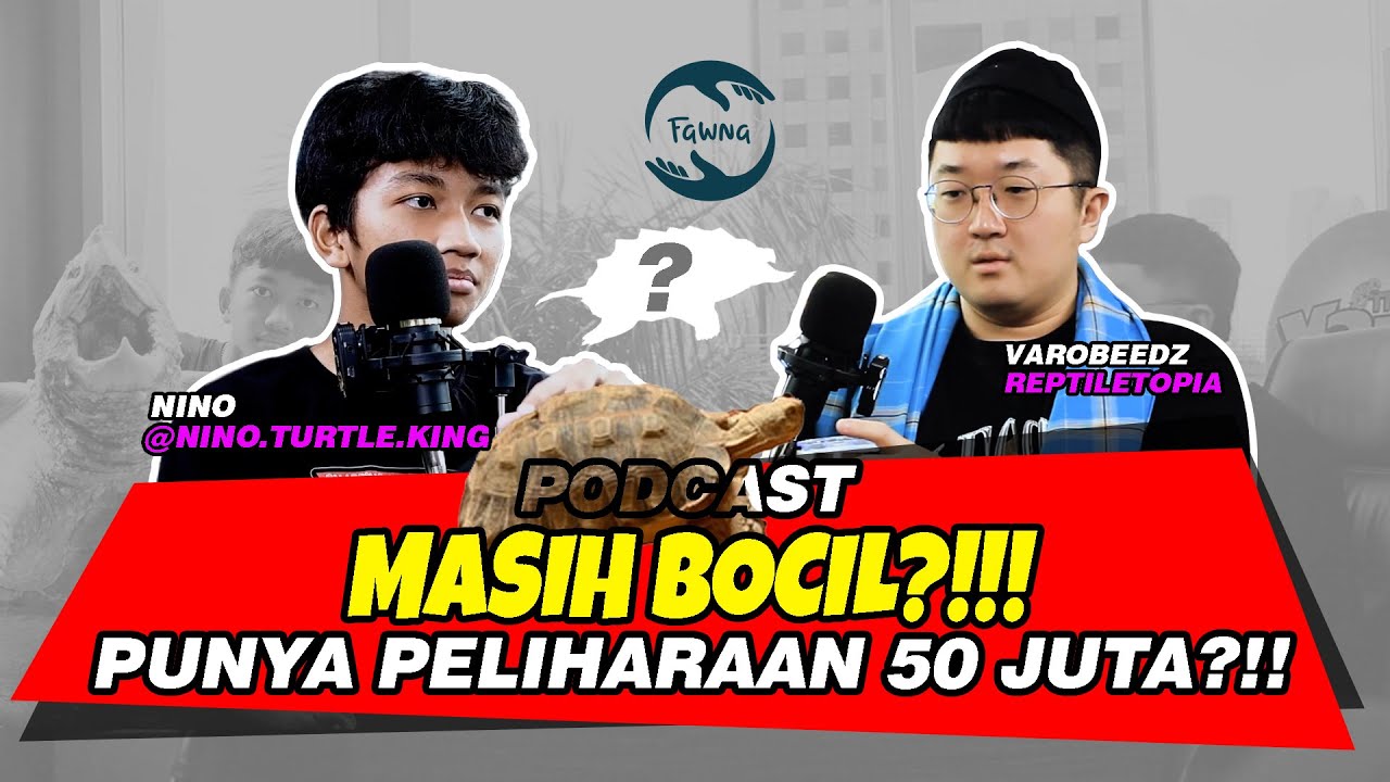 MASH BOCIL PUNYA PELIHARAAN HARGA 50 JUTA?!!!! | THE VARO SHOW NINO TURTLE KING PART 1 - YouTube