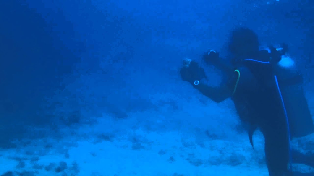 Honolulu dive with bad diver around - YouTube