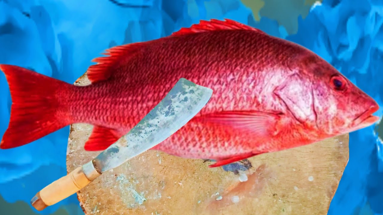 Big Northern red snapper Fish CuttingSkills Live In Fish Market ...