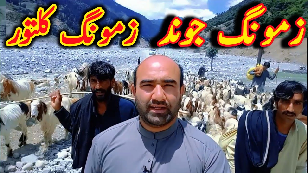 Zamung Jwand Ao Kaltoor | Pashtun Culture | Da Ghrono Khalqo Jwand ...