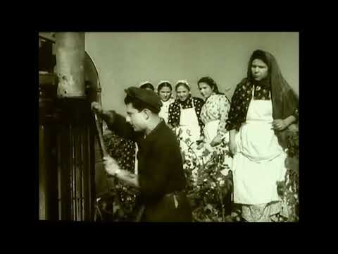 Görüş filimi mexanik Kamil