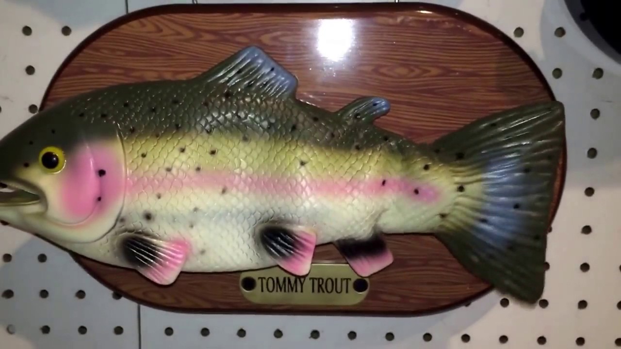 Tommy the singing trout - YouTube