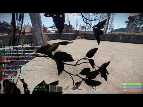 Wrecking kids with 3k hours in Rust - YouTube