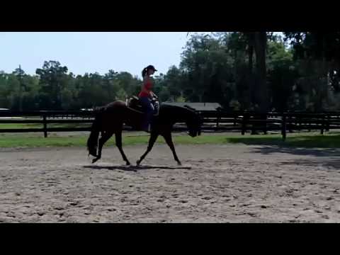 2007 Good Machine mare (AQHA) - YouTube