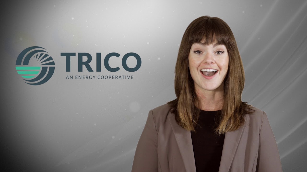 Trico Livewire Broadcast Dec 2020 - YouTube