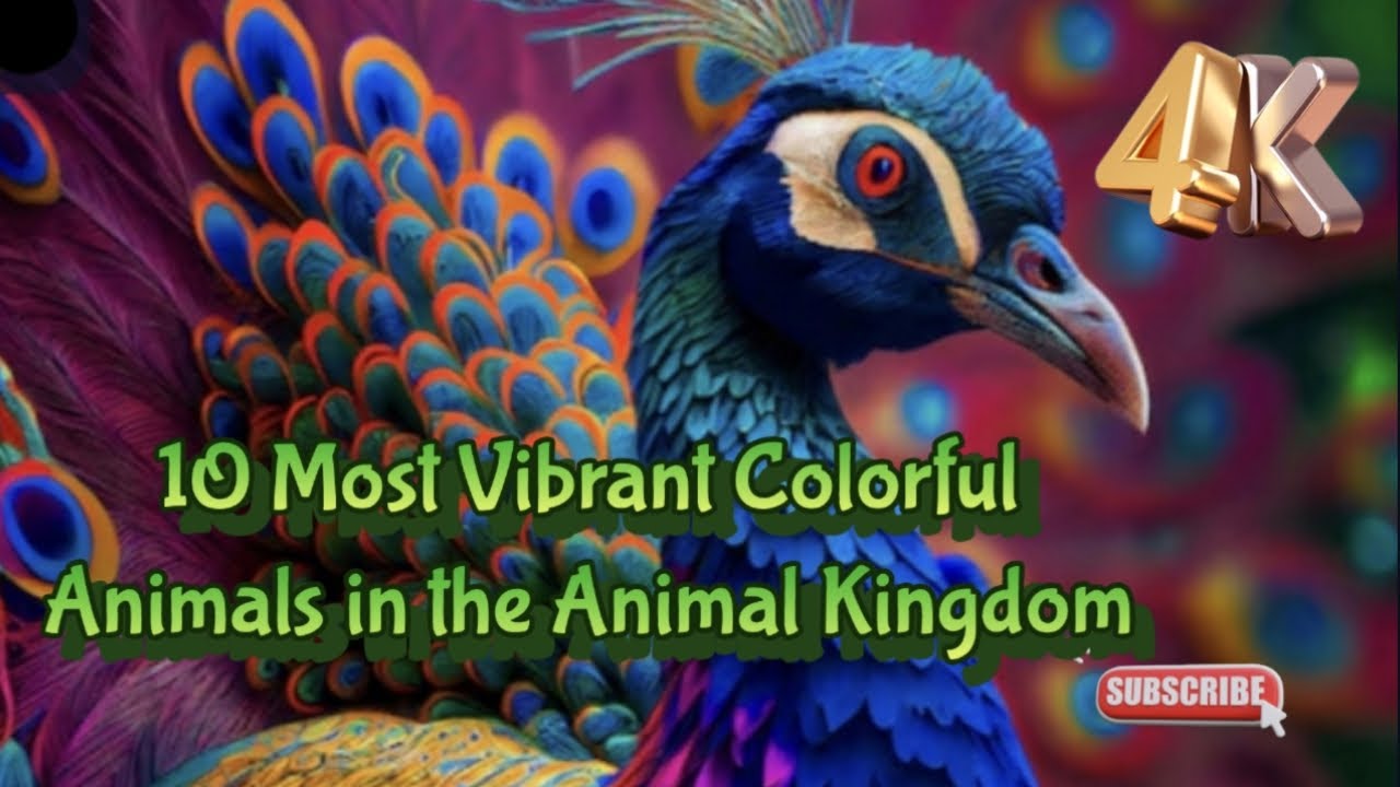 10 most vibrant colorful animals in the Animal Kingdom - YouTube