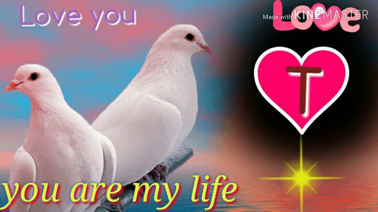 T letter whatsapp love status Love song - YouTube