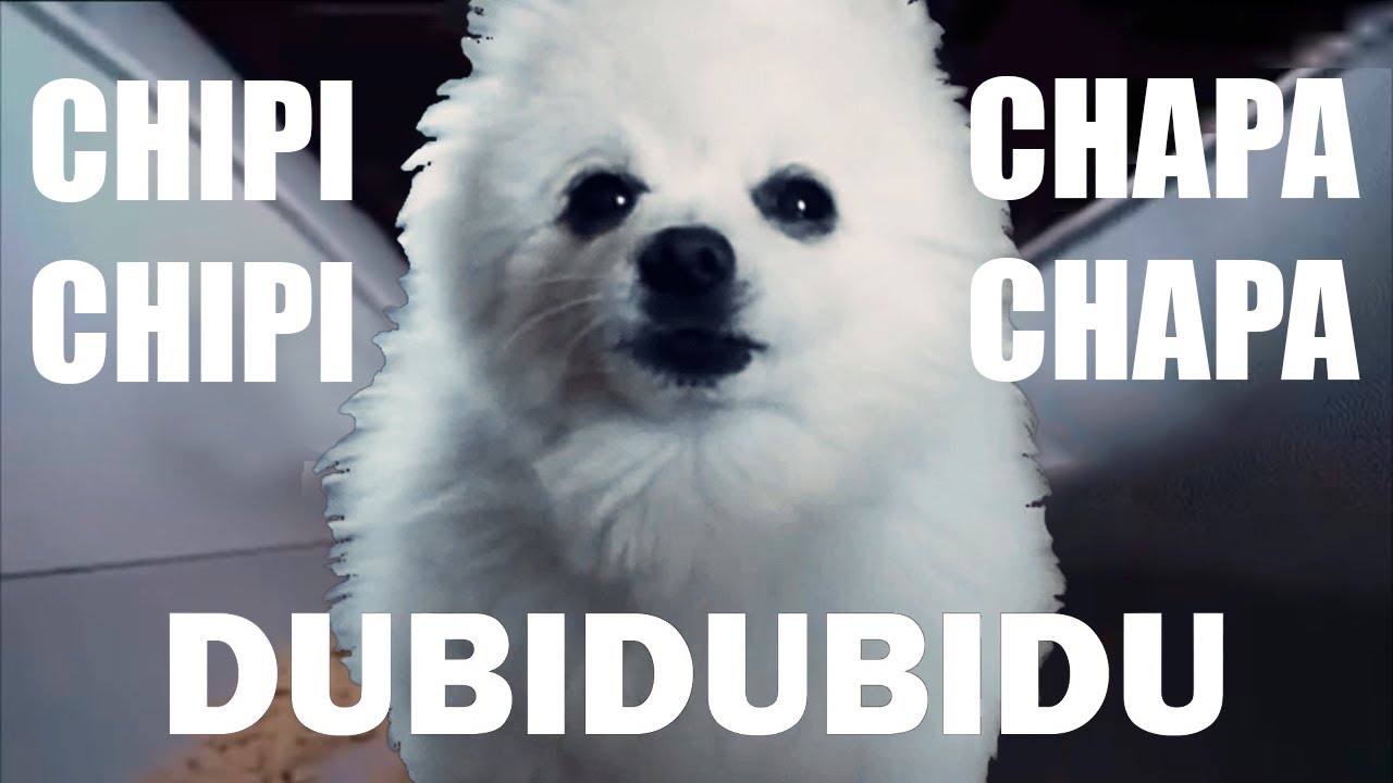 CHIPI CHIPI CHAPA CHAPA DUBI DUBI [10 Minutos] (Cover Perro) - YouTube