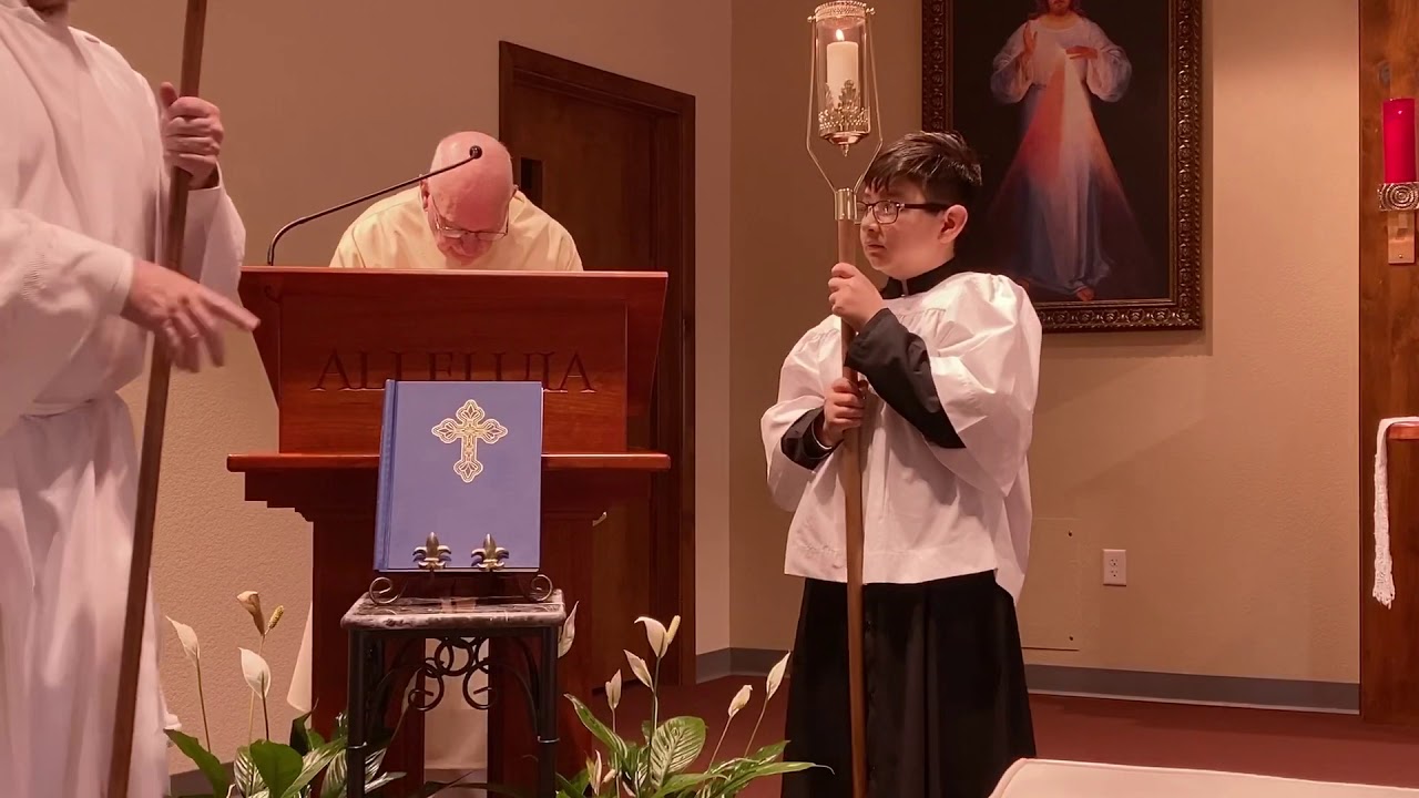 Solemnity Of All Saints November 1, 2020 with Rev. Michael Goodyear ...