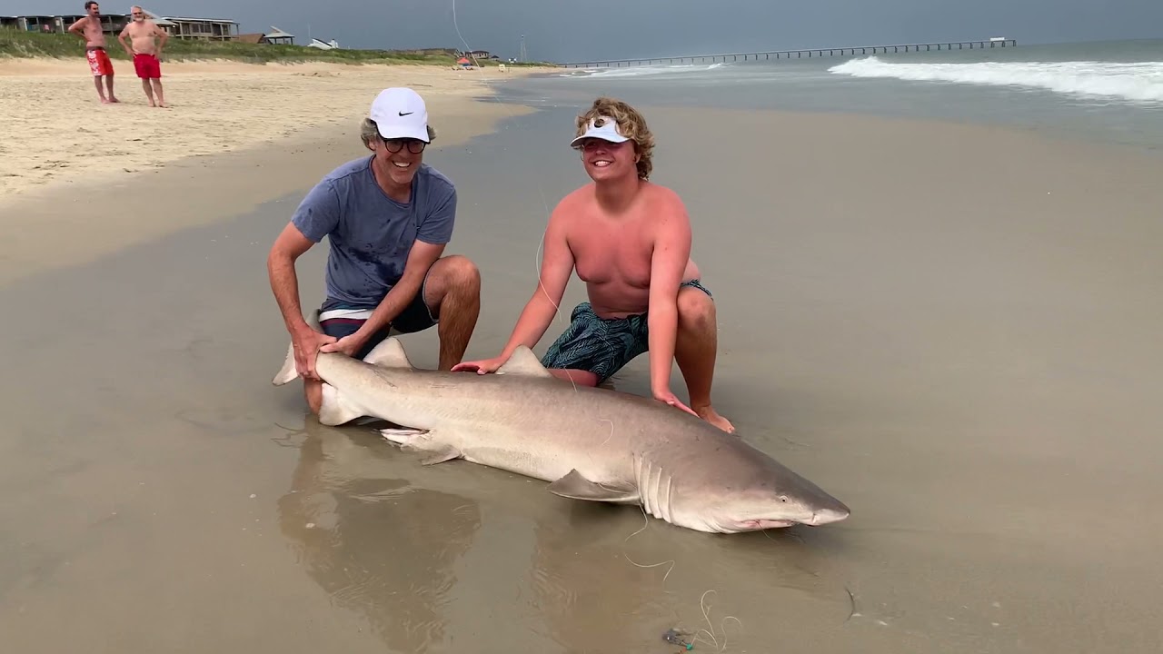 Catching a 7ft Sand Tiger Shark!!! - YouTube