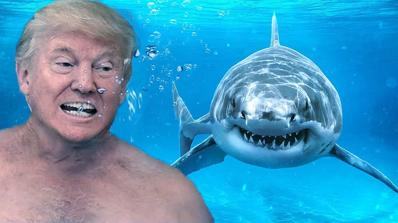 Would President Swim With Sharks For $100,000? (MrBeast AI Parody ...