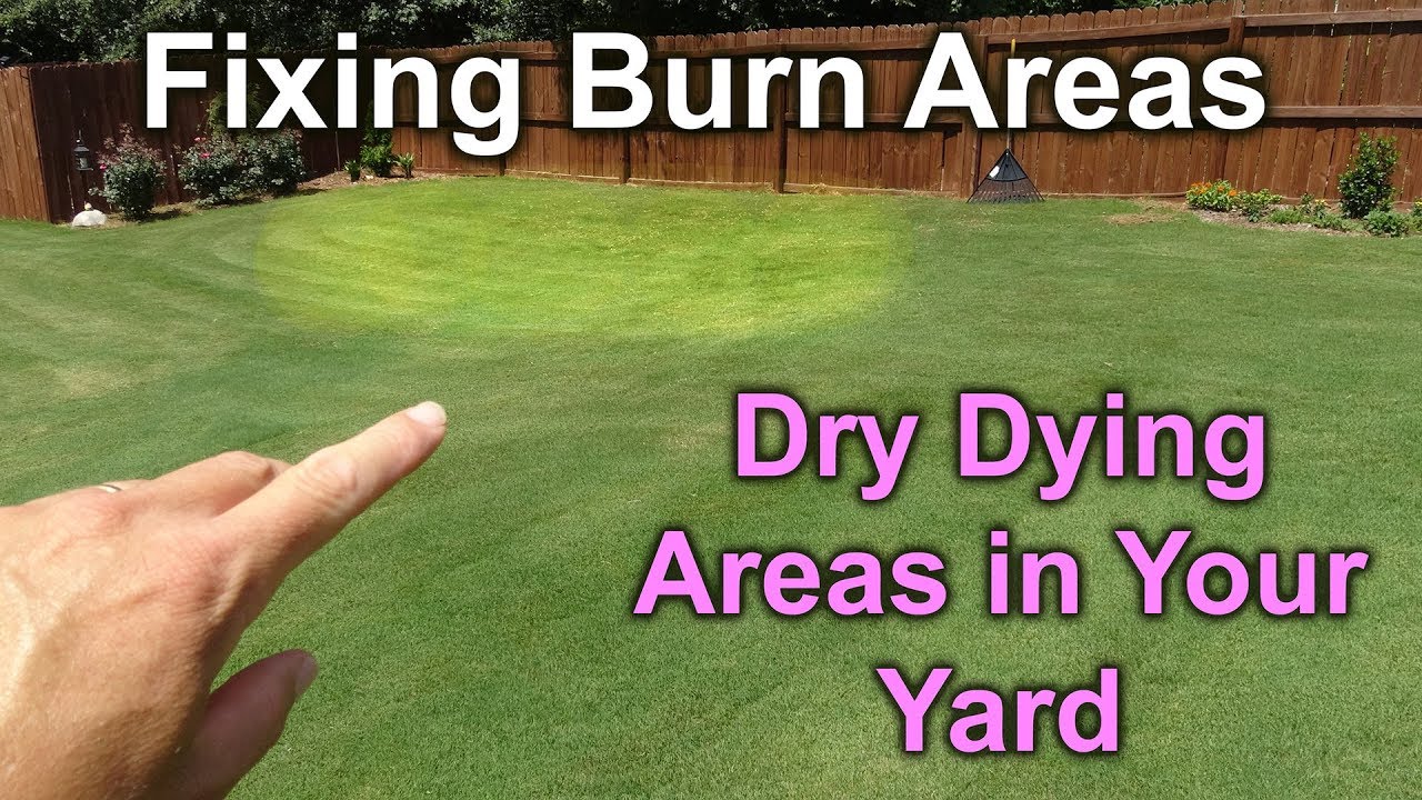 Fix Brown Burn Out and Dry Spots in BermudaGrass - YouTube