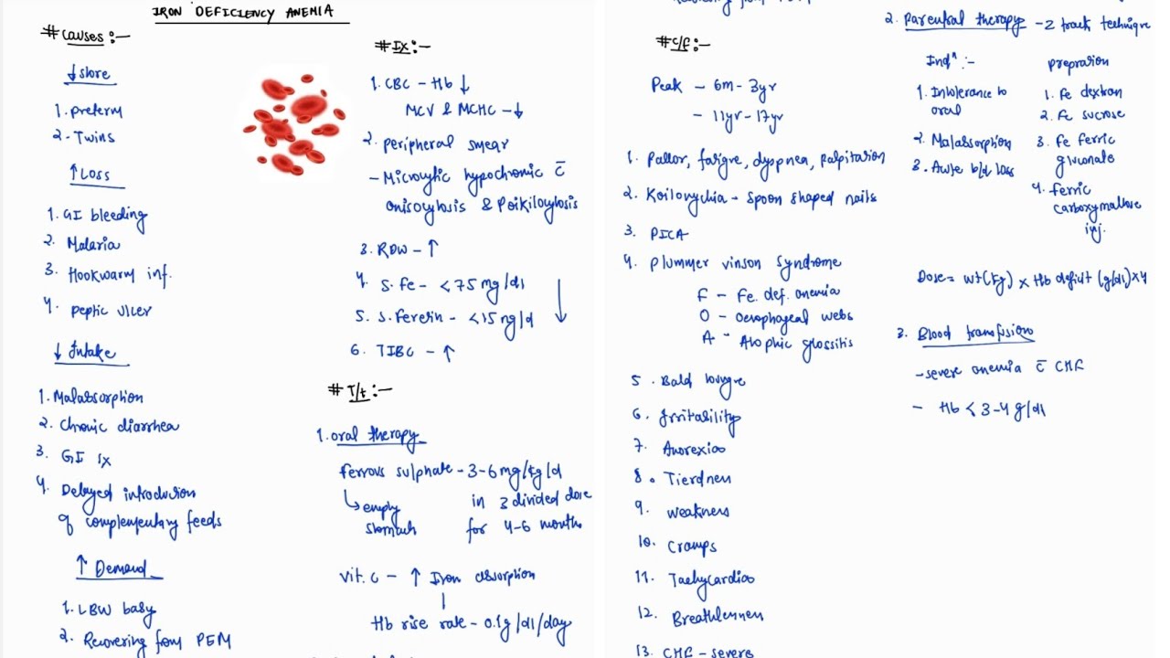 IRON DEFICIENCY ANEMIA NOTES | ONE PAGE NOTE |HEMATOLOGY | MEDICINE ...