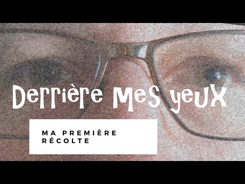 Derrière mes yeux, Ep. 4, ma première récolte.