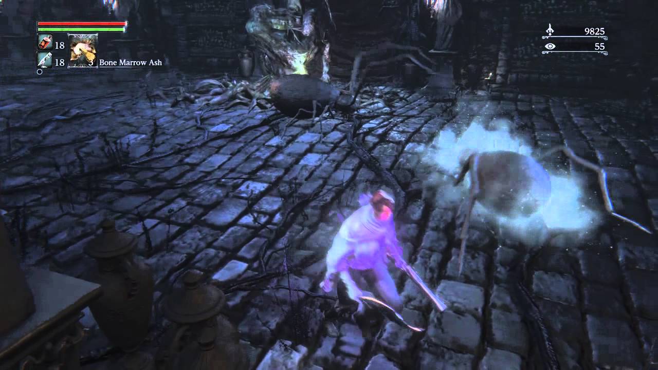 Bloodborne™ More covenant PvP with Ruby & Vhandra - YouTube