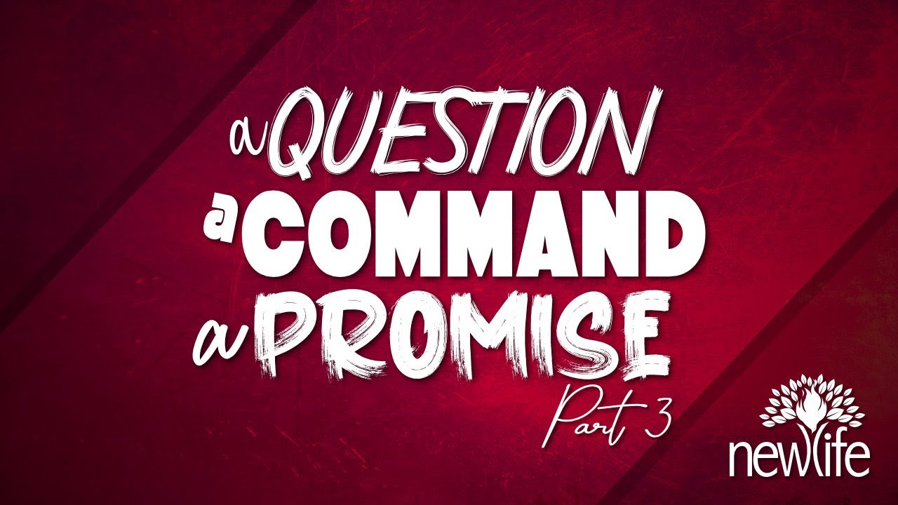 A Question, A Command, A Promise Part 3 - YouTube