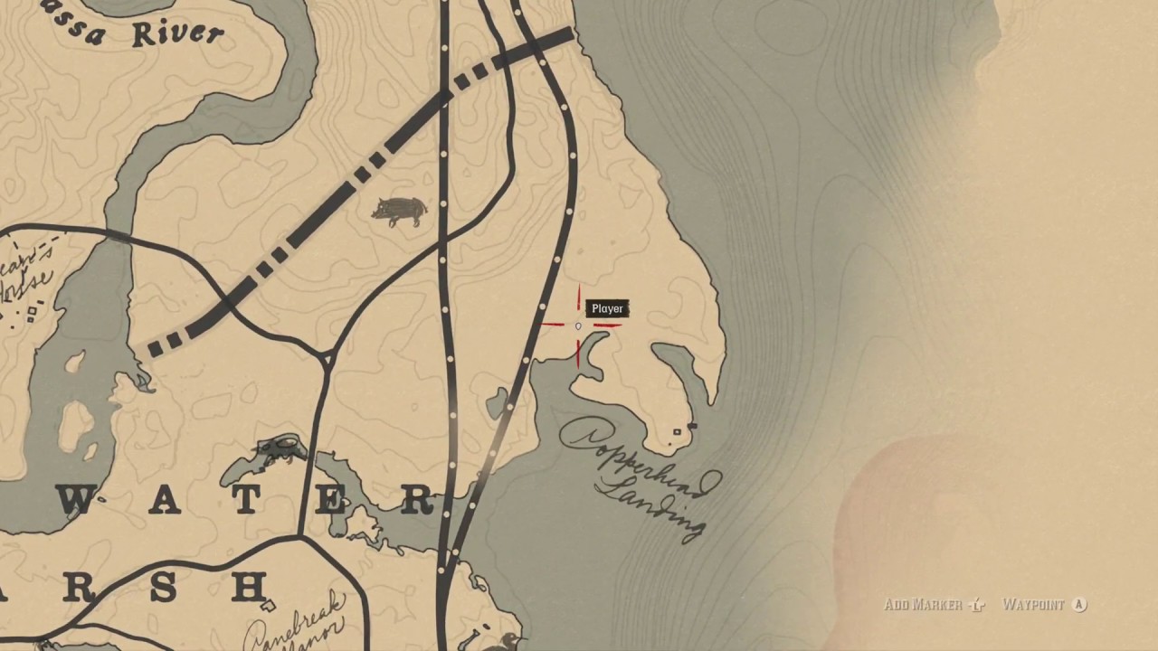 RDR 2: Getting a Bullfrog for Wildlife Art Exhibition IV - YouTube