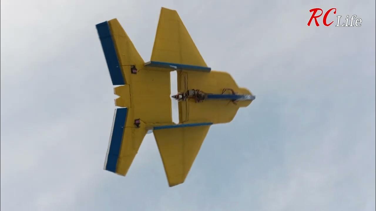 Home made F22 raptor rc plane random fly - YouTube