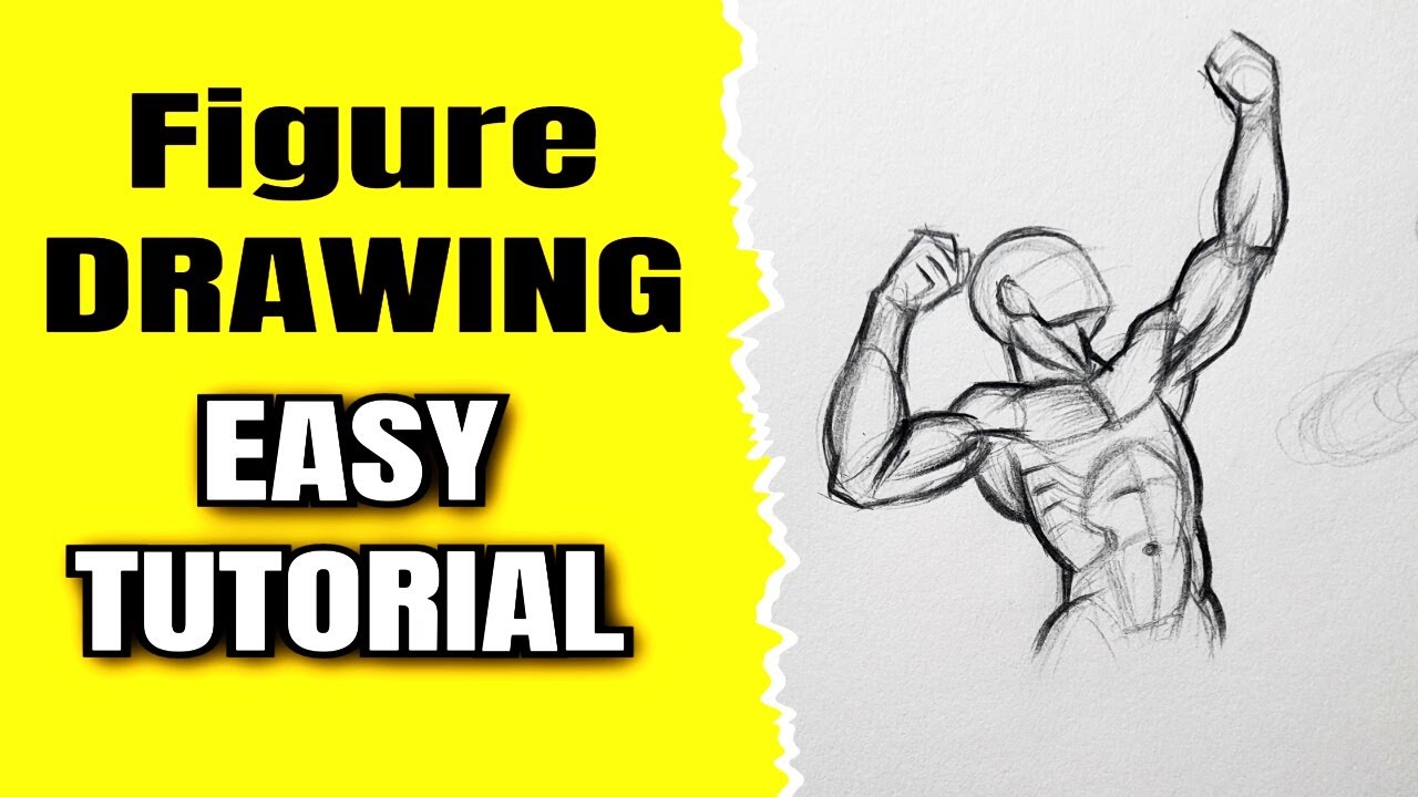 How To Draw Human Figure Drawing Male Torso Easy For Beginners Pencil Drawing Tutorial Easy
