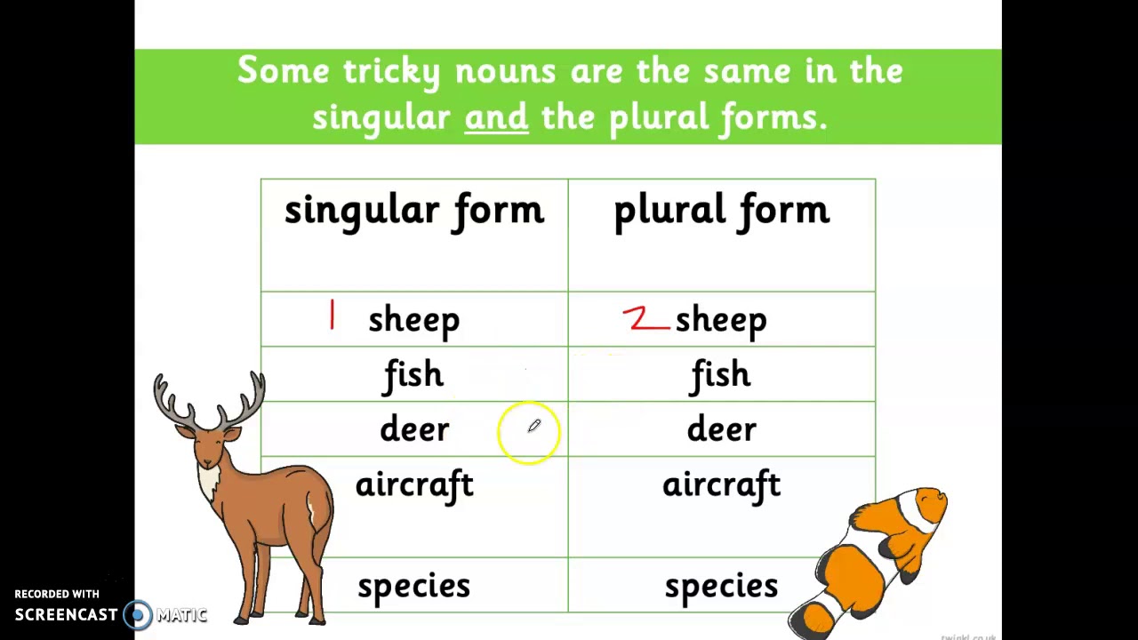 Single to Plural Nouns - YouTube