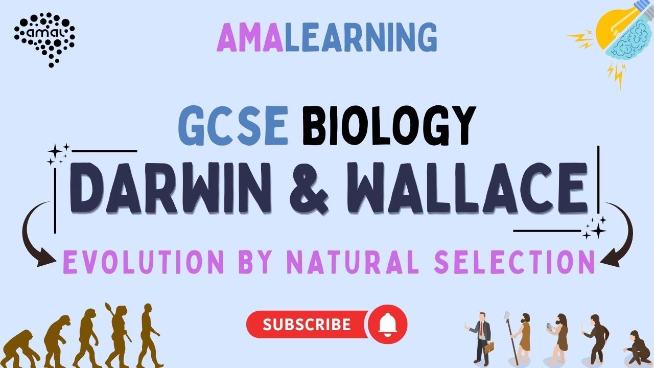 GCSE Biology - Darwin & Wallace: Evolution by Natural Selection - YouTube