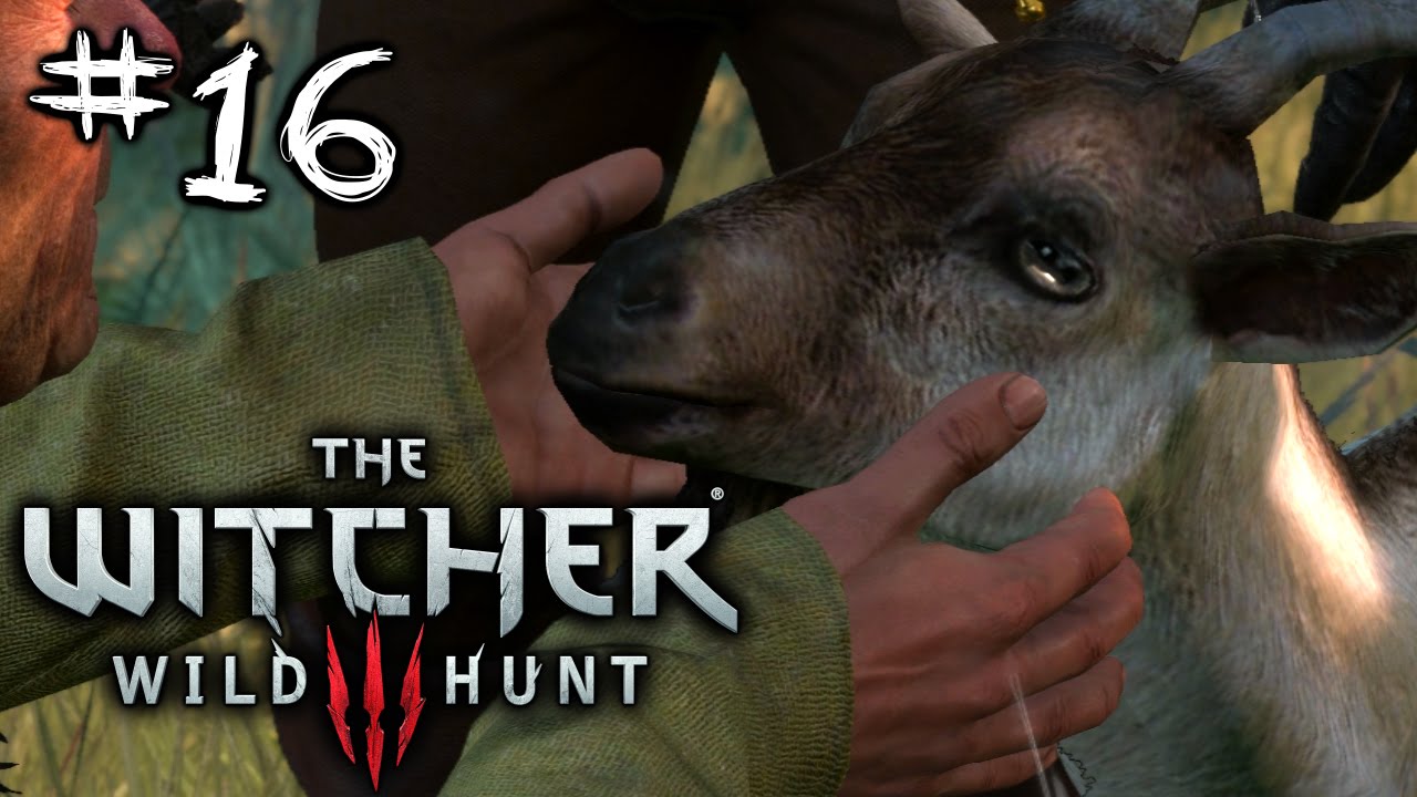 Princess Rescue - The Witcher 3 Wild Hunt PC Playthrough Part 16 - YouTube