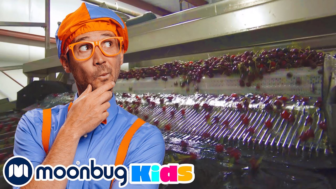 BLIPPI Visits a Cherry Farm! | Learn | ABC 123 Moonbug Kids ...