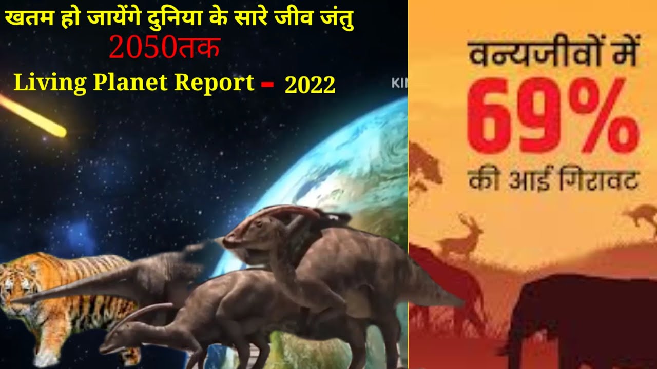 Living Planet Report 2022 | Extinct Species - YouTube